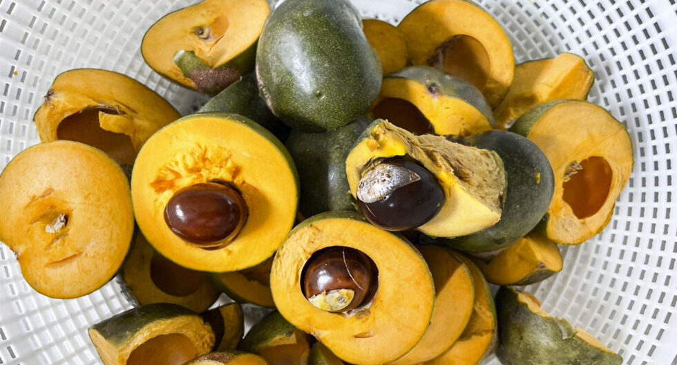 Lúcuma: El superalimento que es considerado como el "oro de los incas"