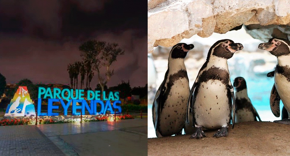 Parque de las Leyendas está celebrando su 59° aniversario este lunes