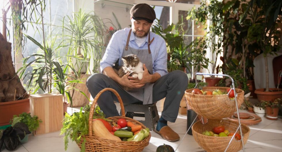 Día del Campesino: ¿Cómo hacer un biohuerto en casa?