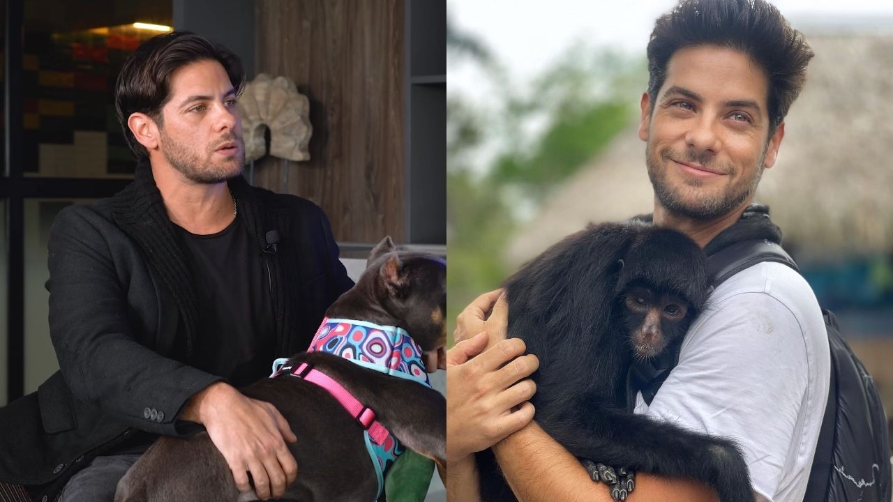 Andrés Wiese confirma su regreso a la televisión: ¿Con qué formato ...